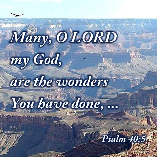 Psalms 40:5 KJV!! | Kristi Ann's Haven