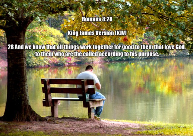 Romans 8:28 KJV!! | Kristi Ann's Haven