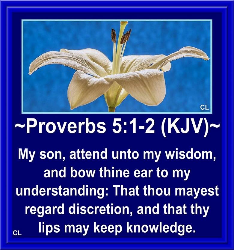 Proverbs 5:1-2 KJV!! | Kristi Ann's Haven
