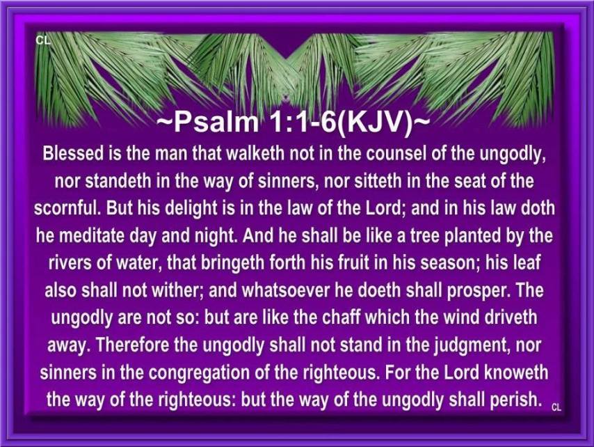 Psalms KJV Chapter One and more Blessings!! | Kristi Ann's Haven