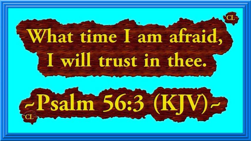 What time I am afraid, I will Trust in Thee!! | Kristi Ann's Haven