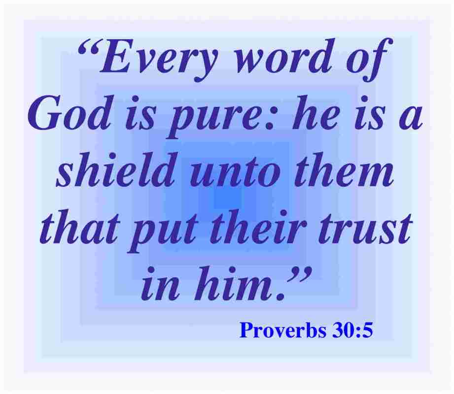 Every Word of God is Pure:!! | Kristi Ann's Haven
