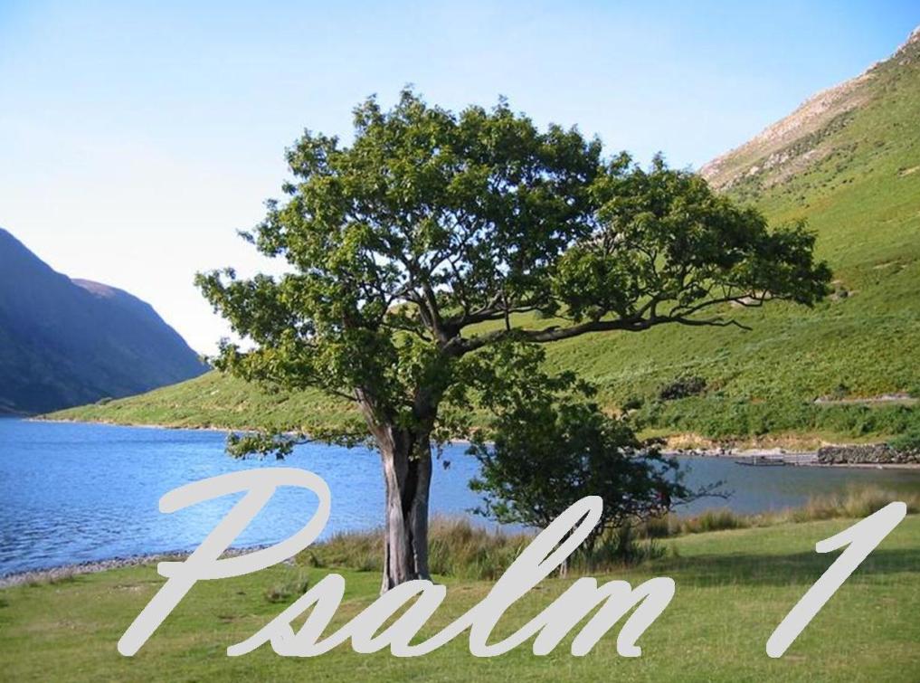 Psalms Chapter One!! | Kristi Ann's Haven