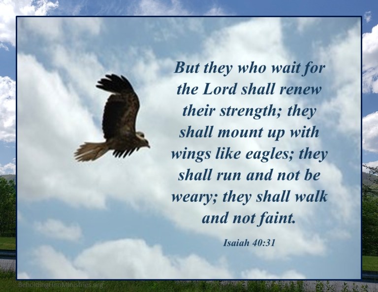 They Shall Mount up with Wings as Eagles!! | Kristi Ann's Haven