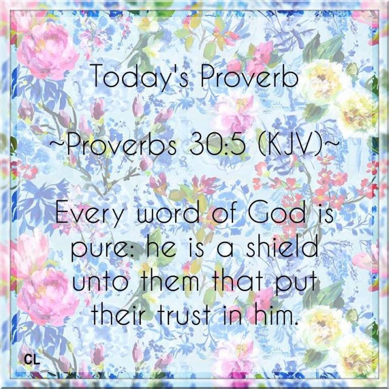 Proverbs 30:5 KJV and more Blessings!! | Kristi Ann's Haven