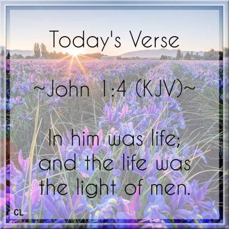 John 1:4-5 KJV and more Blessings!! | Kristi Ann's Haven