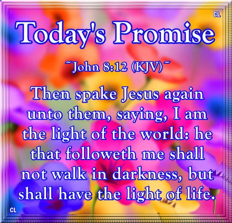 John 8:12 KJV and More Blessings!! | Kristi Ann's Haven