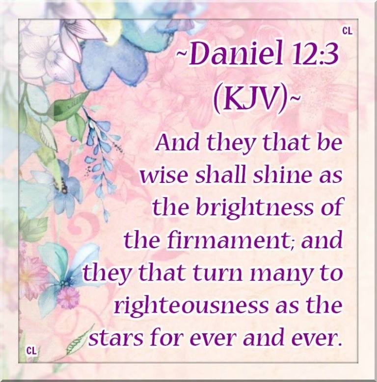 Daniel 12:3 KJV and more Blessings!! | Kristi Ann's Haven