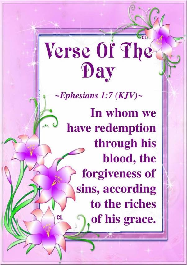 In Whom we have Redempation and more Blessings!! | Kristi Ann's Haven