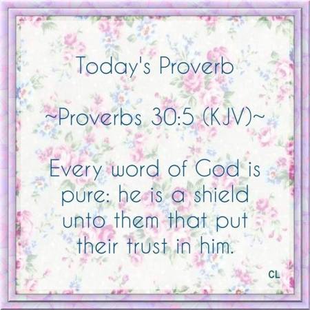 Proverbs 30:5 KJV and more Blessings!! | Kristi Ann's Haven