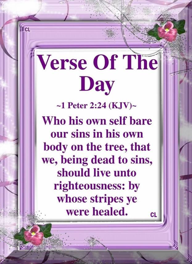 I Peter 2:24 KJV and more Blessings!! | Kristi Ann's Haven