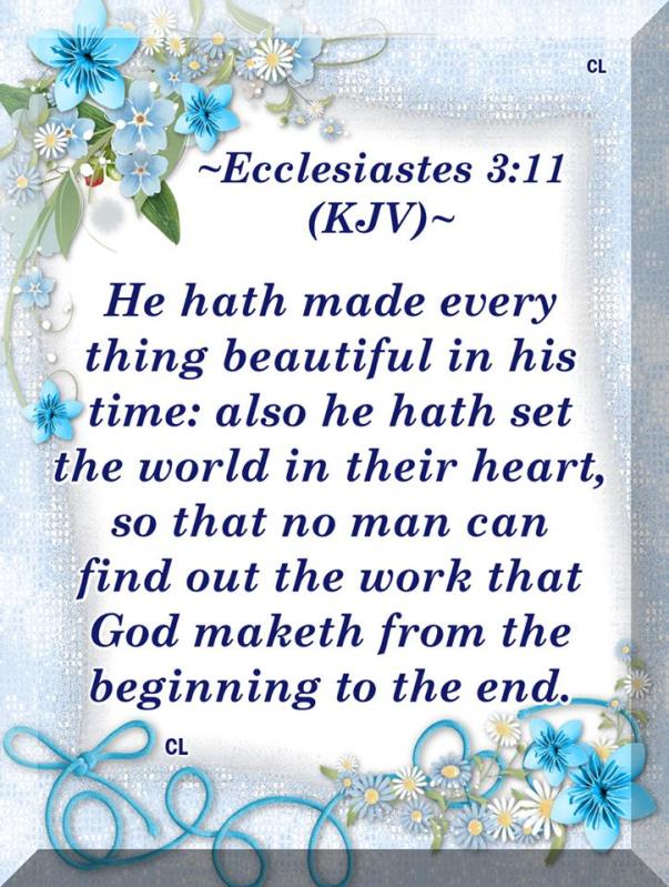 Ecclesiastes 3:11 KJV and more Blessings!! | Kristi Ann's Haven