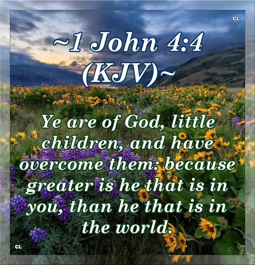 I John 4:4 KJV AMEN and more Blessings!! | Kristi Ann's Haven