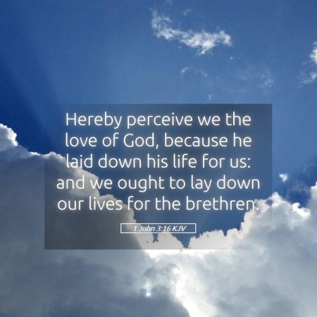 1 John 3:16 KJV Hallelujah and LOVE and more Blessings!! | Kristi Ann's ...