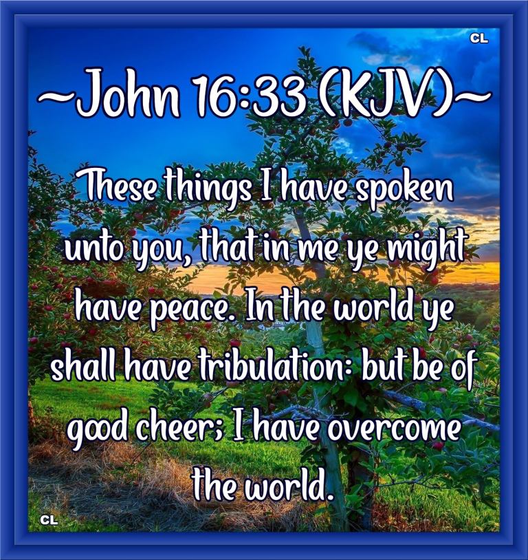 John 16:33 KJV Hallelujah and Amen!! | Kristi Ann's Haven