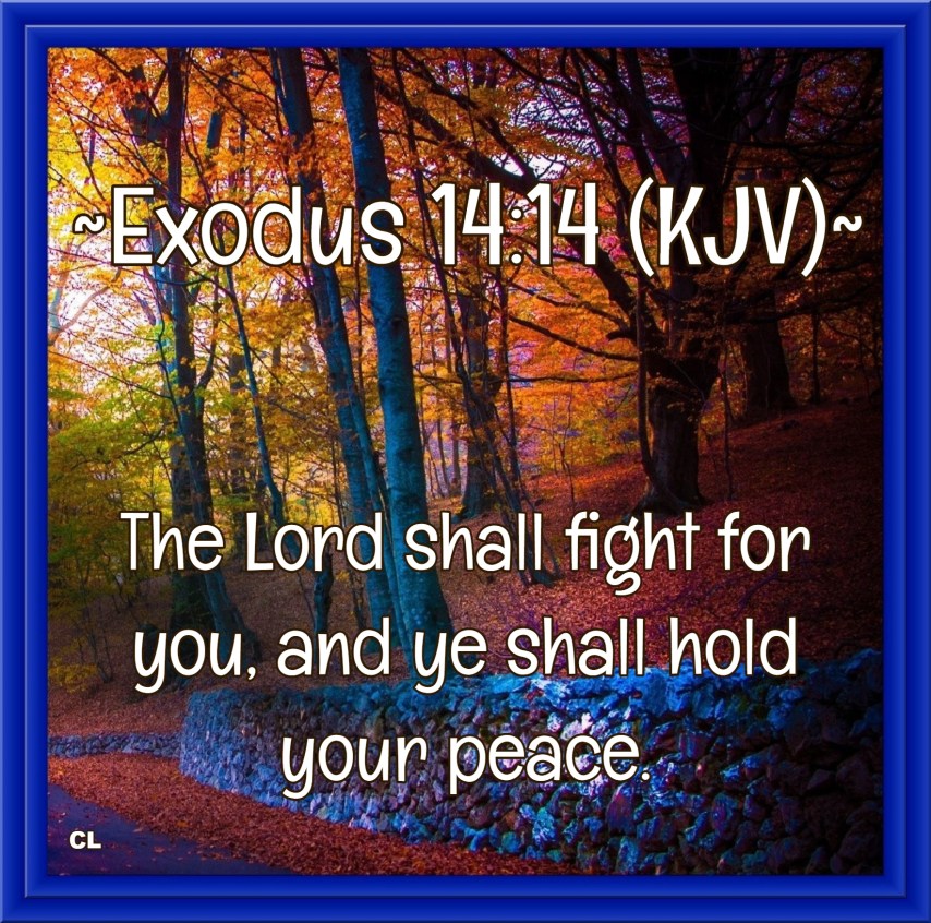 Exodus 14:14 KJV Sing Glory Glory Hallelujah!! | Kristi Ann's Haven