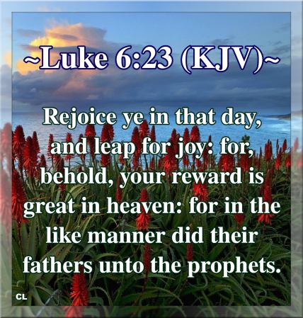 LUKE 6:23 KJV REJOICE Hallelujah and Amen!! | Kristi Ann's Haven