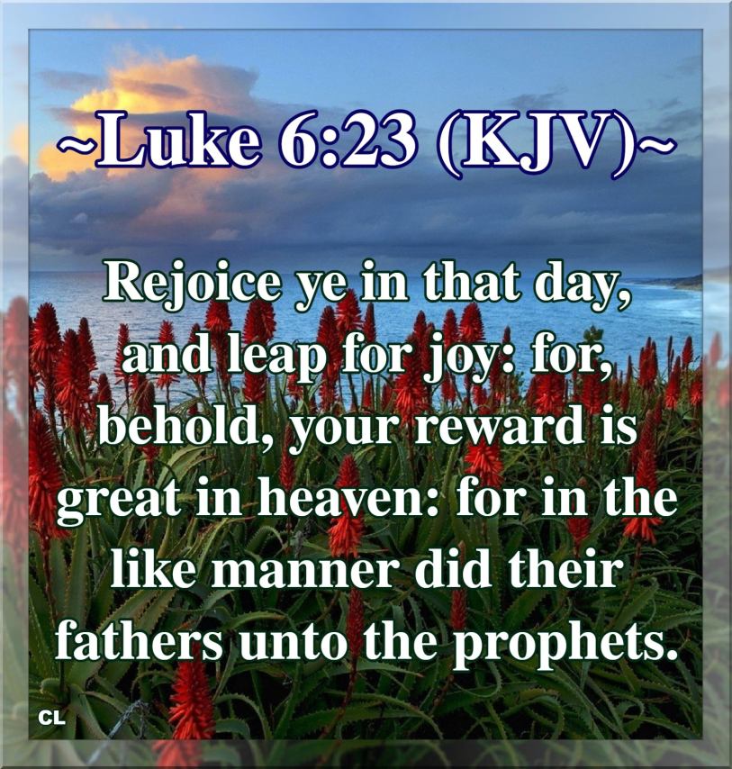 LUKE 6:23 KJV REJOICE Hallelujah and Amen!! | Kristi Ann's Haven
